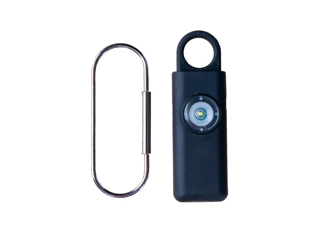 Dog Walking Alarm
